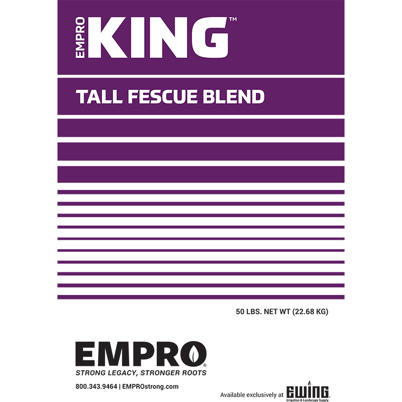 SEED RESEARCH OF OREGON Blue Tag Certified King Tall Fescue - 50 lb ...