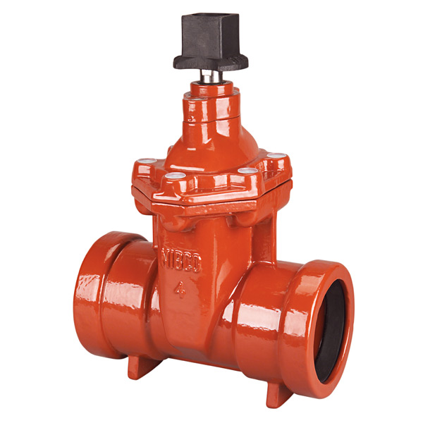 6 in IPS Push-On Resilient Wedge Cast Iron Gate Valve - Ewing