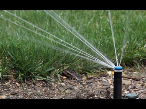 Hunter MP SR800 360 degree Rotator - Ewing