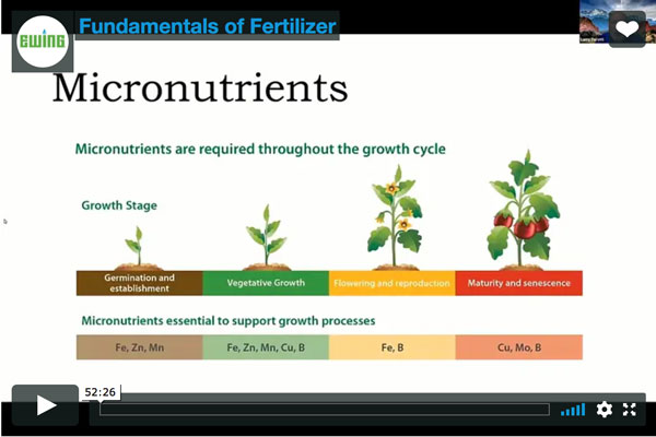 Fundamentals of Fertilizers
