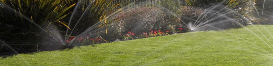 A large field being watered by sprinklers