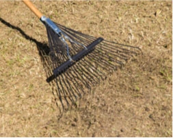 A close-up of a rake being used